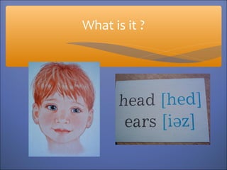 Parts of the body | PPT