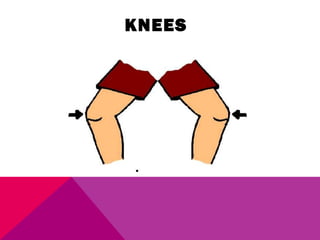 Parts of the body | PPT