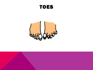 Parts of the body | PPT