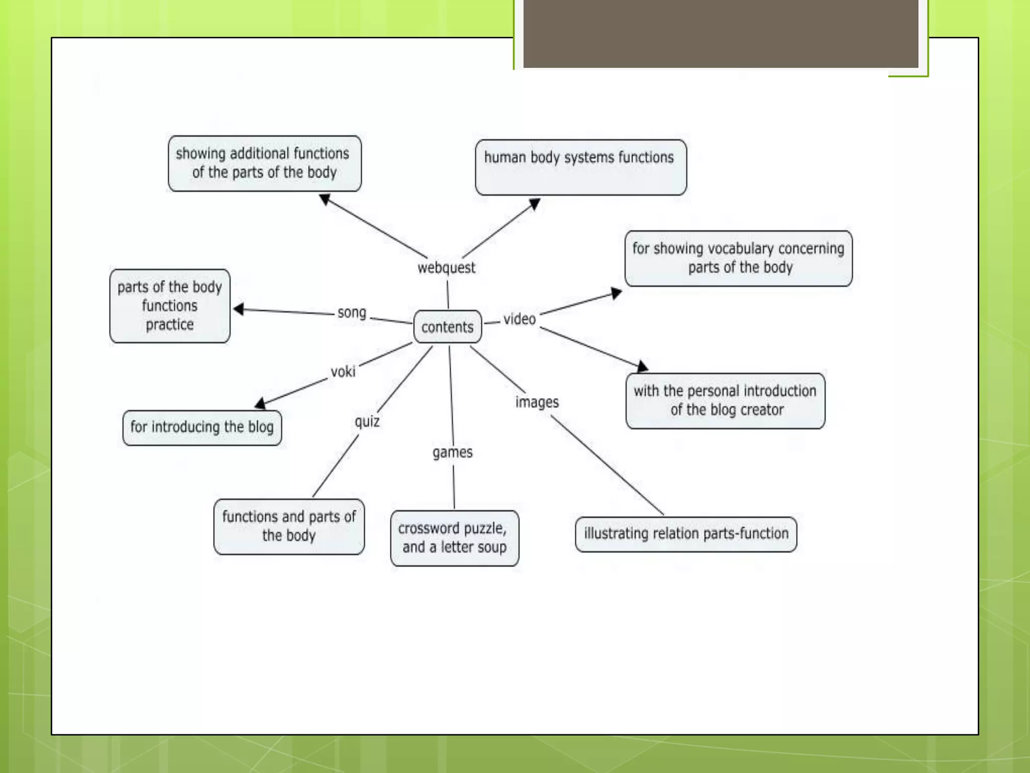 Parts of the body functions | PPTX