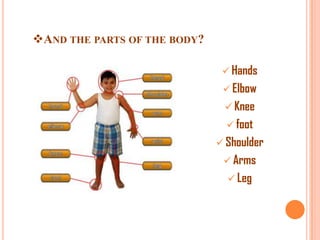 Parts of the body | PPTX