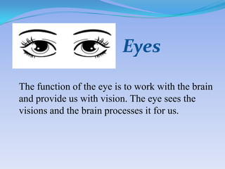 Parts of the body | PPT