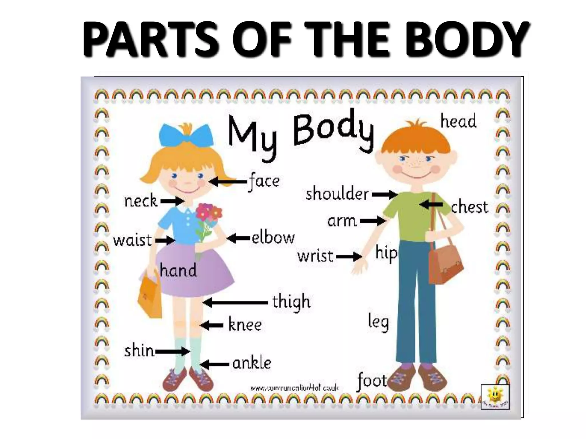 Parts of the body | PPTX