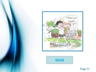 Parts of the body | PPT