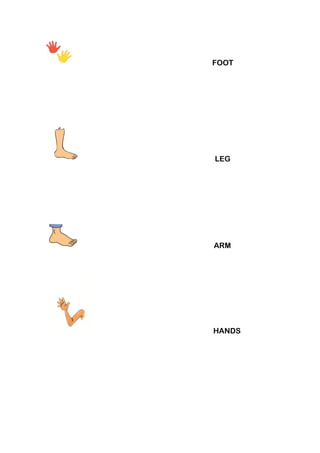 Parts of the body | DOC