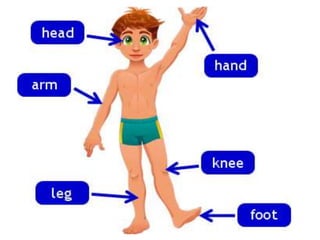 REVIEW: PARTS OF THE BODY | PPTX | Education