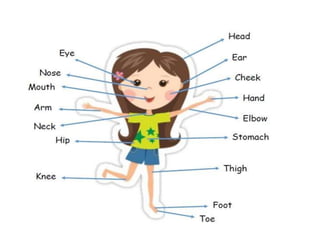 REVIEW: PARTS OF THE BODY | PPTX | Education