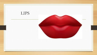 Parts of the body | PPT