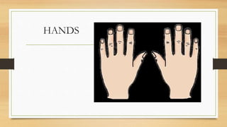 Parts of the body | PPT