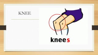 Parts of the body | PPT