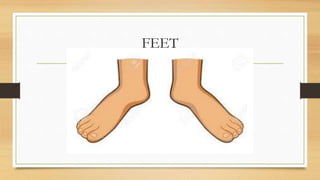 Parts of the body | PPT