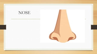 Parts of the body | PPT