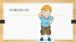 Parts of the body | PPT