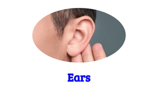 Parts of the body | PPT