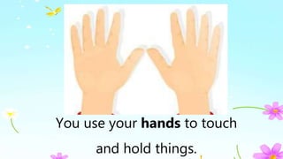 Parts of the Body | PPTX