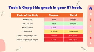 Parts of the Body.pptx