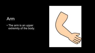 Parts of the body.pptx