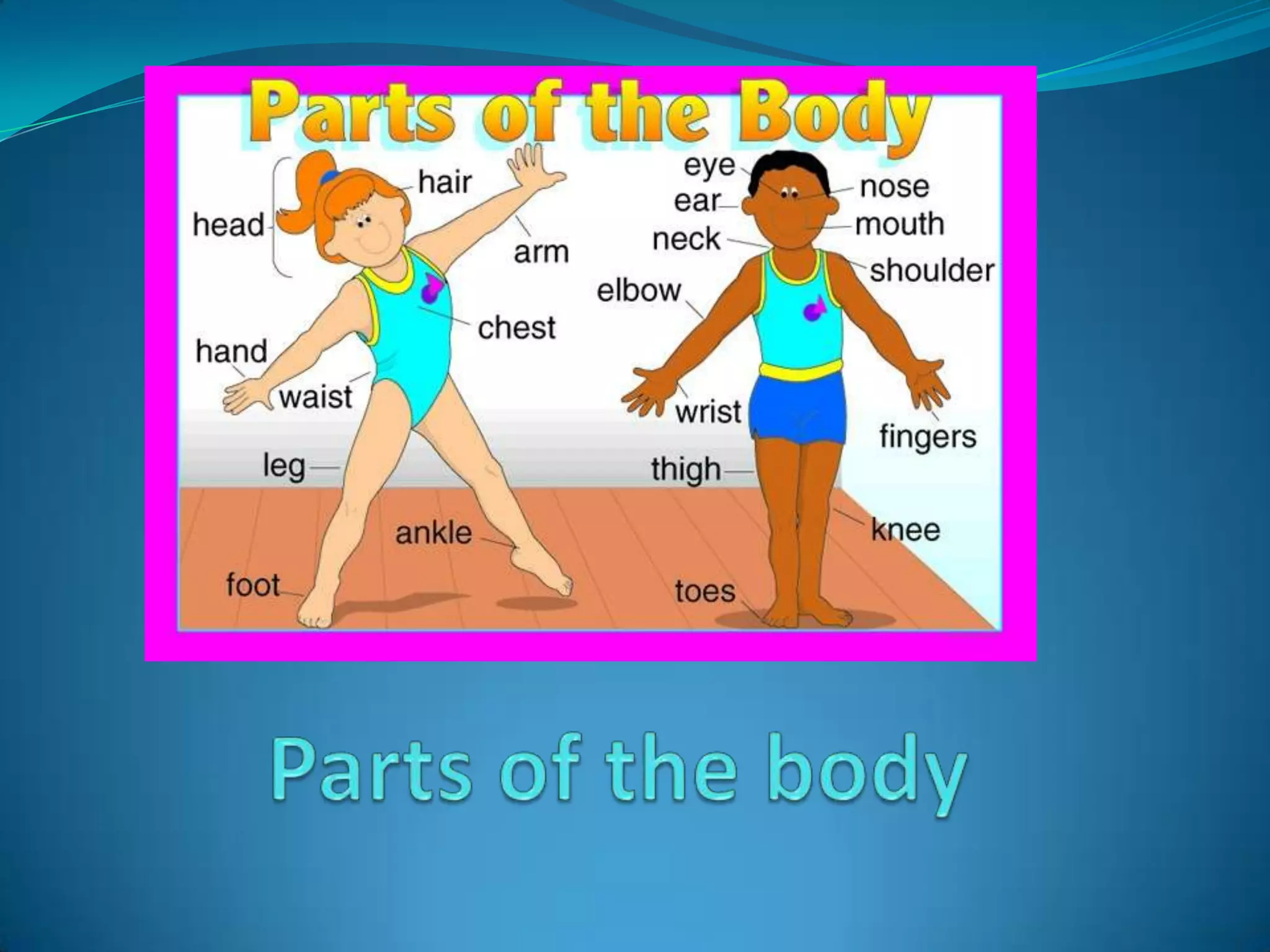 Parts of the body (1) | PPTX