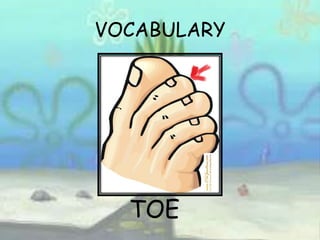 Parts of the body and senses | PPT