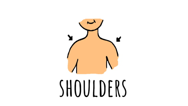 Parts of the body bits | PPT