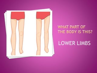 Parts of the body gr 1 | PPTX