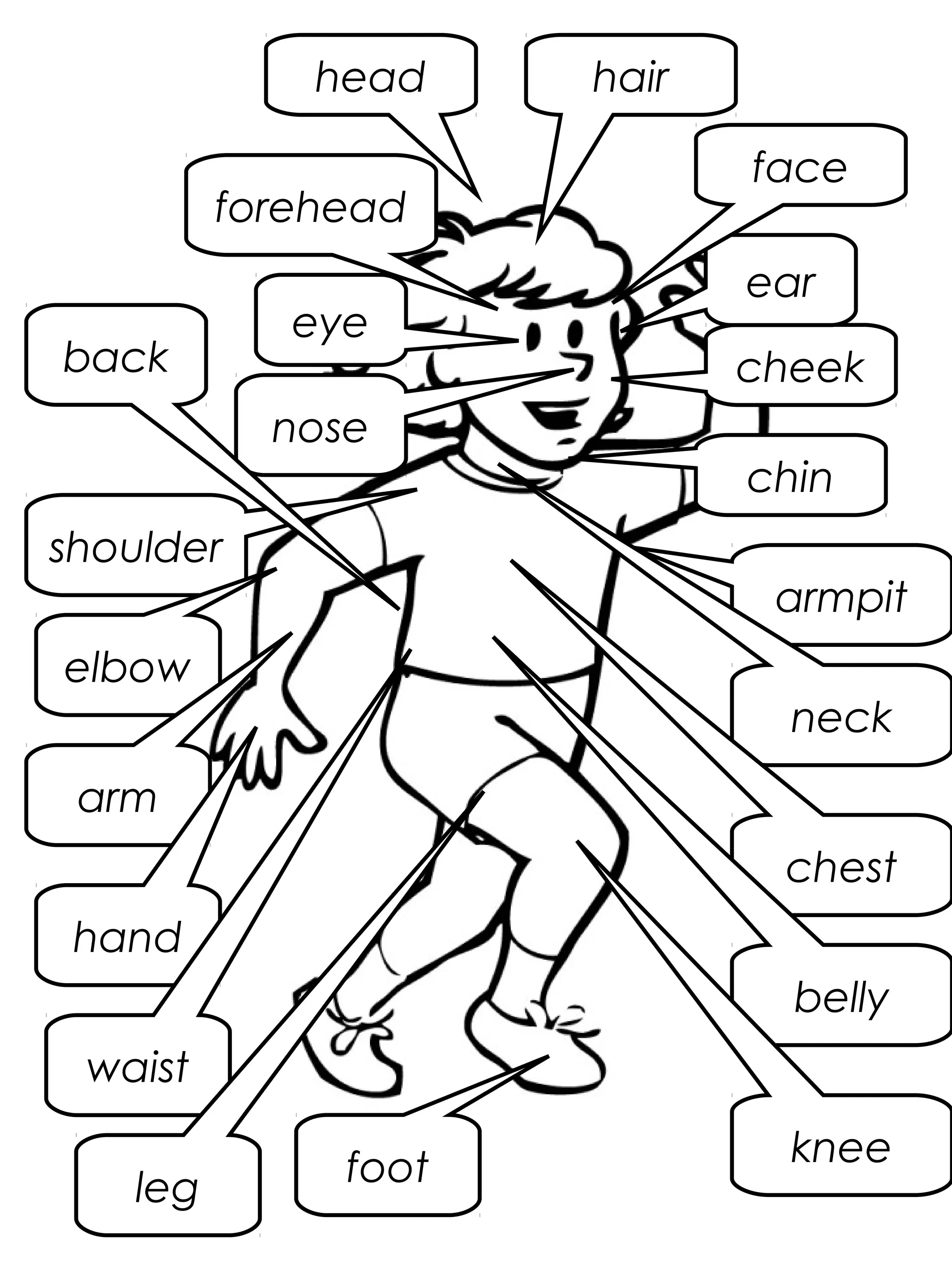 Parts of the body hand mouth_leg | PPT