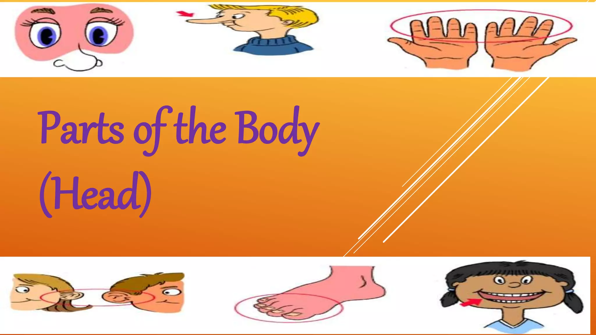 Parts of the body(head) | PPTX