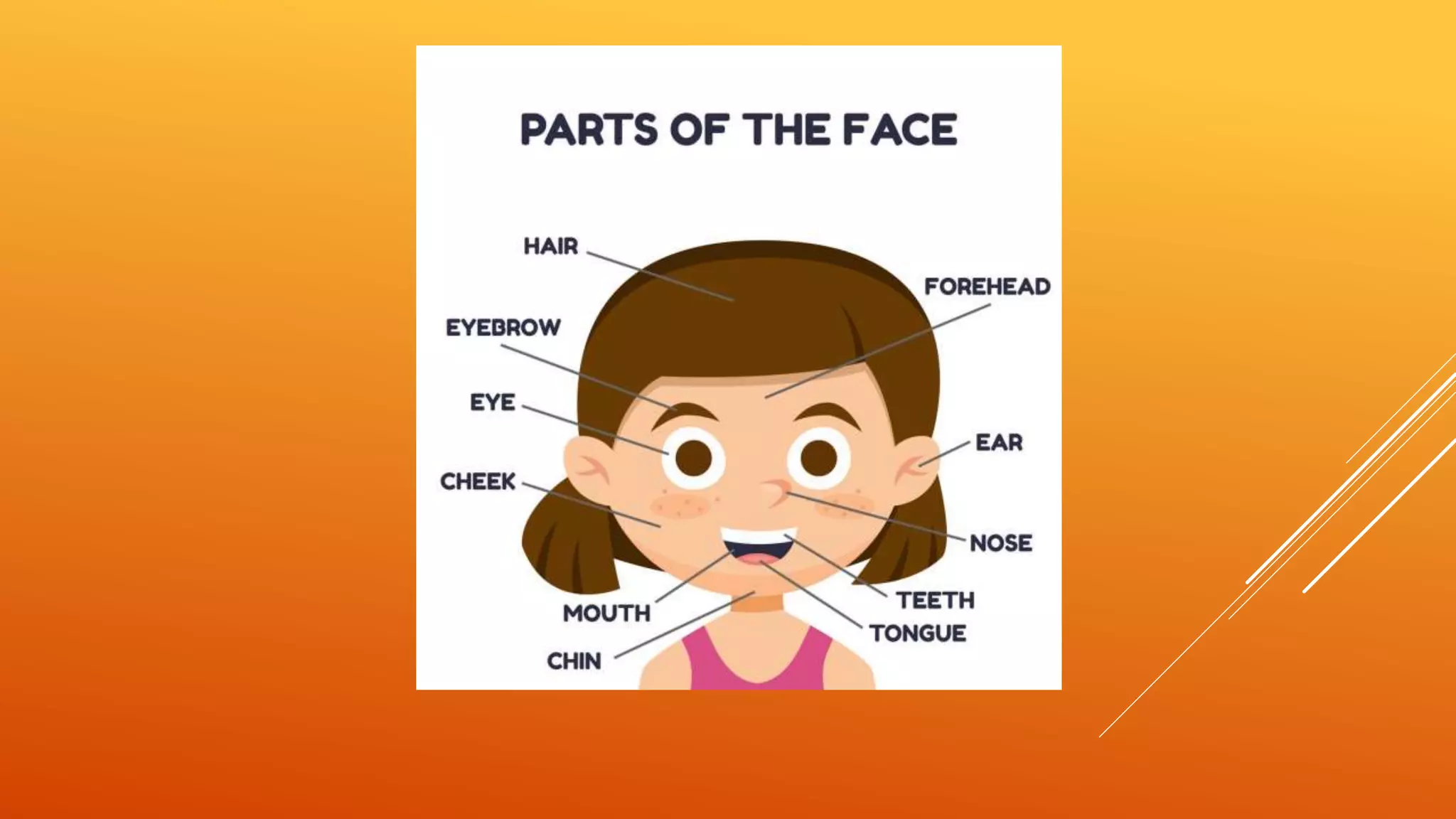 Parts of the body(head) | PPTX