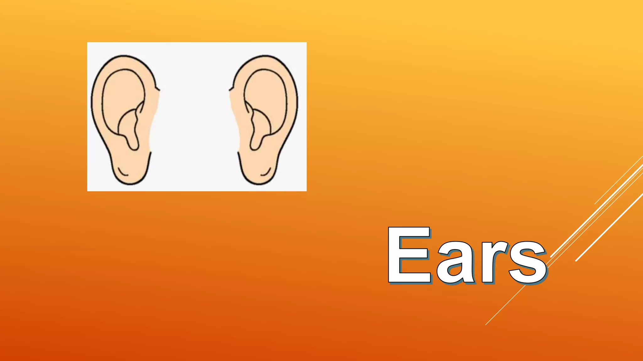 Parts of the body(head) | PPTX