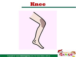 Parts of the body in english | PPT