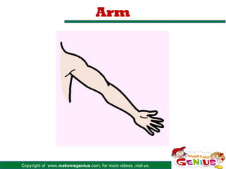 Parts of the body in english | PPT