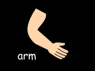 Parts of the body picture by picture | PPT