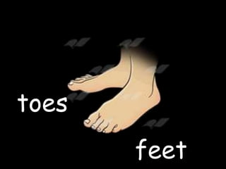 Parts of the body picture by picture | PPT