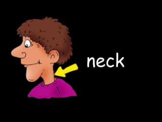 Parts of the body picture by picture | PPT