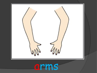 Parts of the body | PPTX