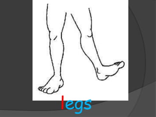 Parts of the body | PPTX