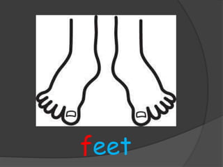 Parts of the body | PPTX