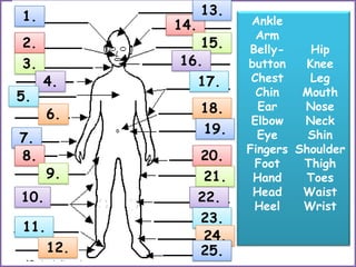 Parts of the body quiz | PPTX
