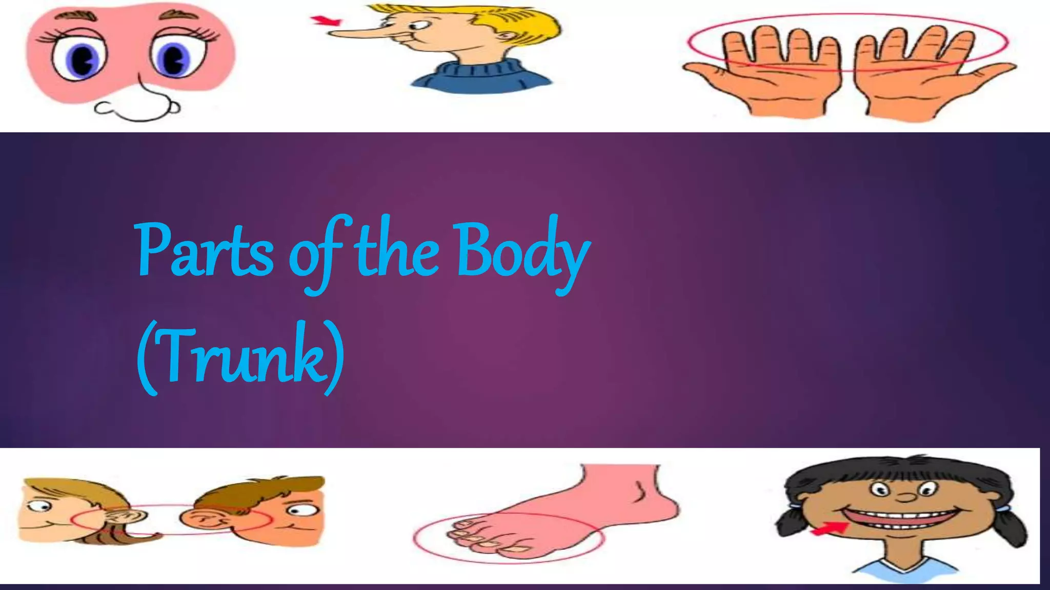 Parts of the body (trunk and limbs) | PPTX