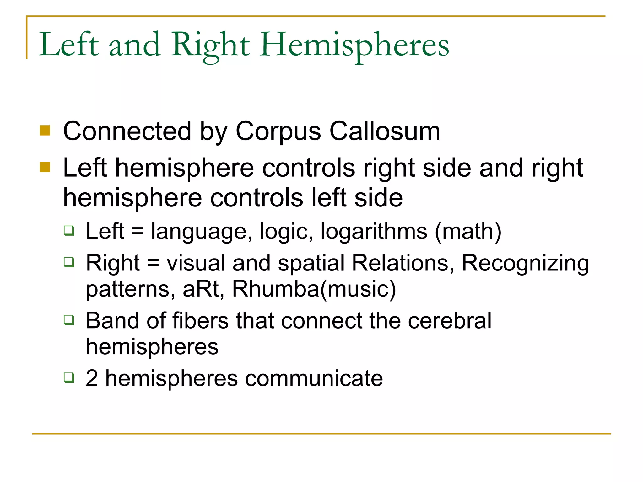 Parts of the brain | PPT