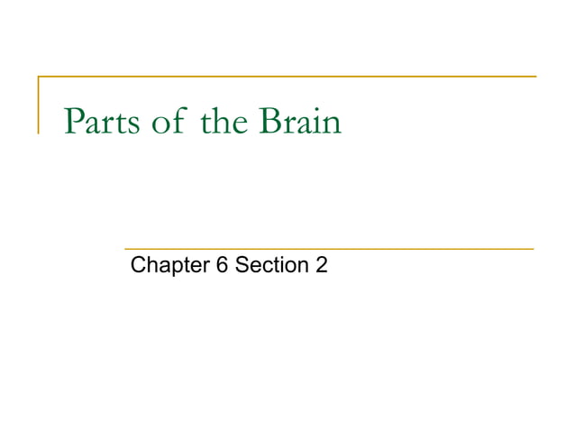 Parts of the brain | PPT