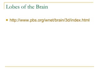 Parts of the brain | PPT