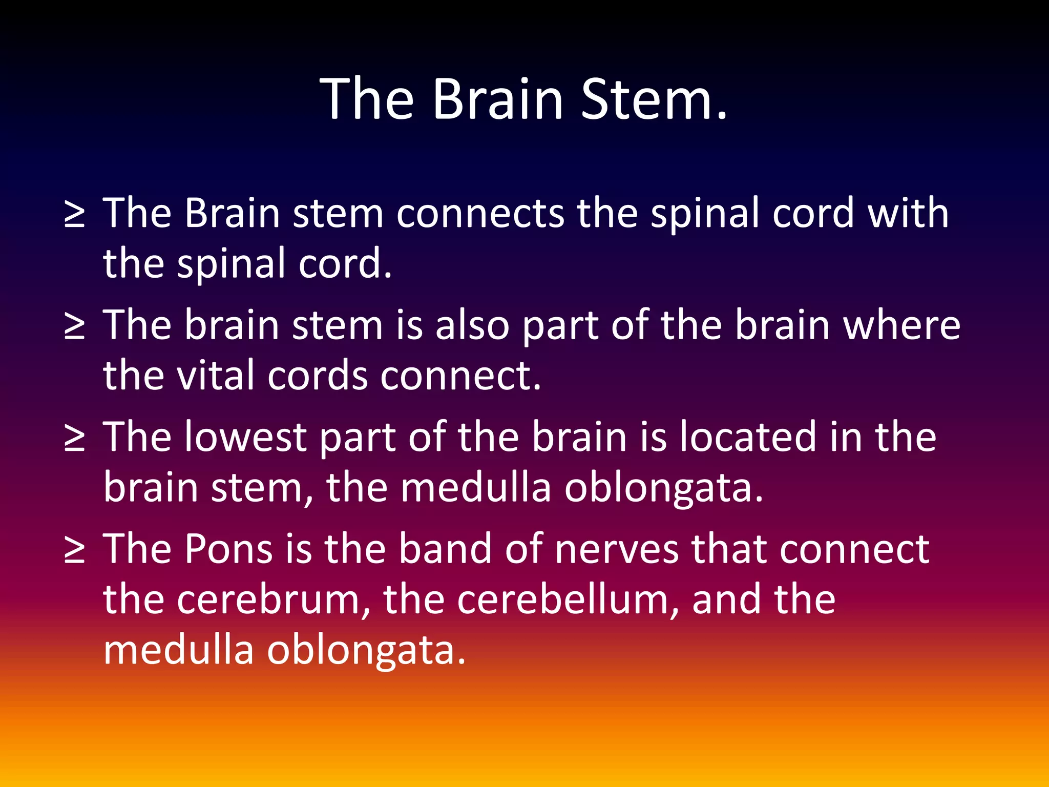 Parts of the brain!! | PPTX