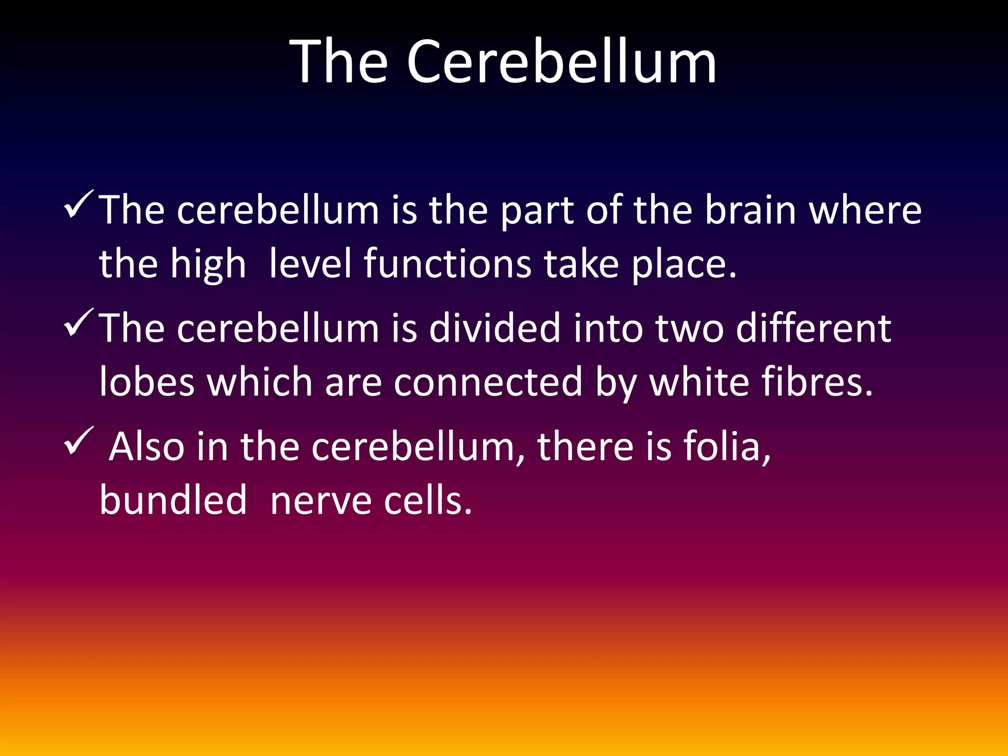 Parts of the brain!! | PPTX