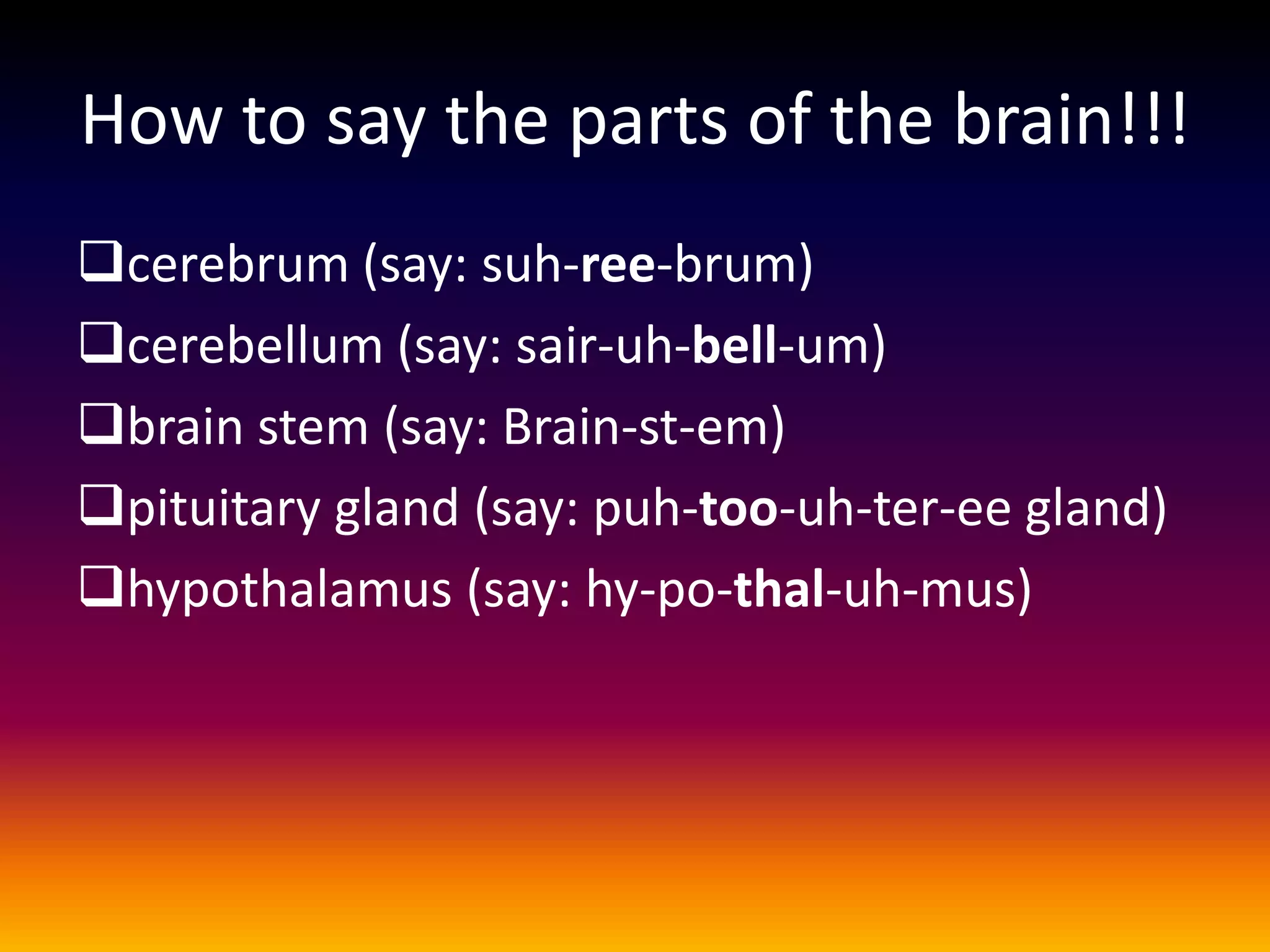 Parts of the brain!! | PPTX
