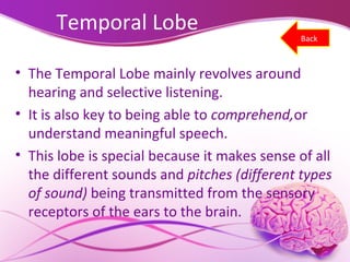 Parts of the brain | PPT