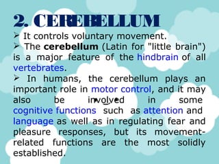 Parts of the brain | PPT