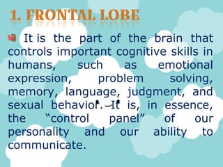 Parts of the brain | PPT