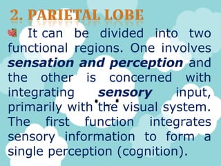 Parts of the brain | PPT