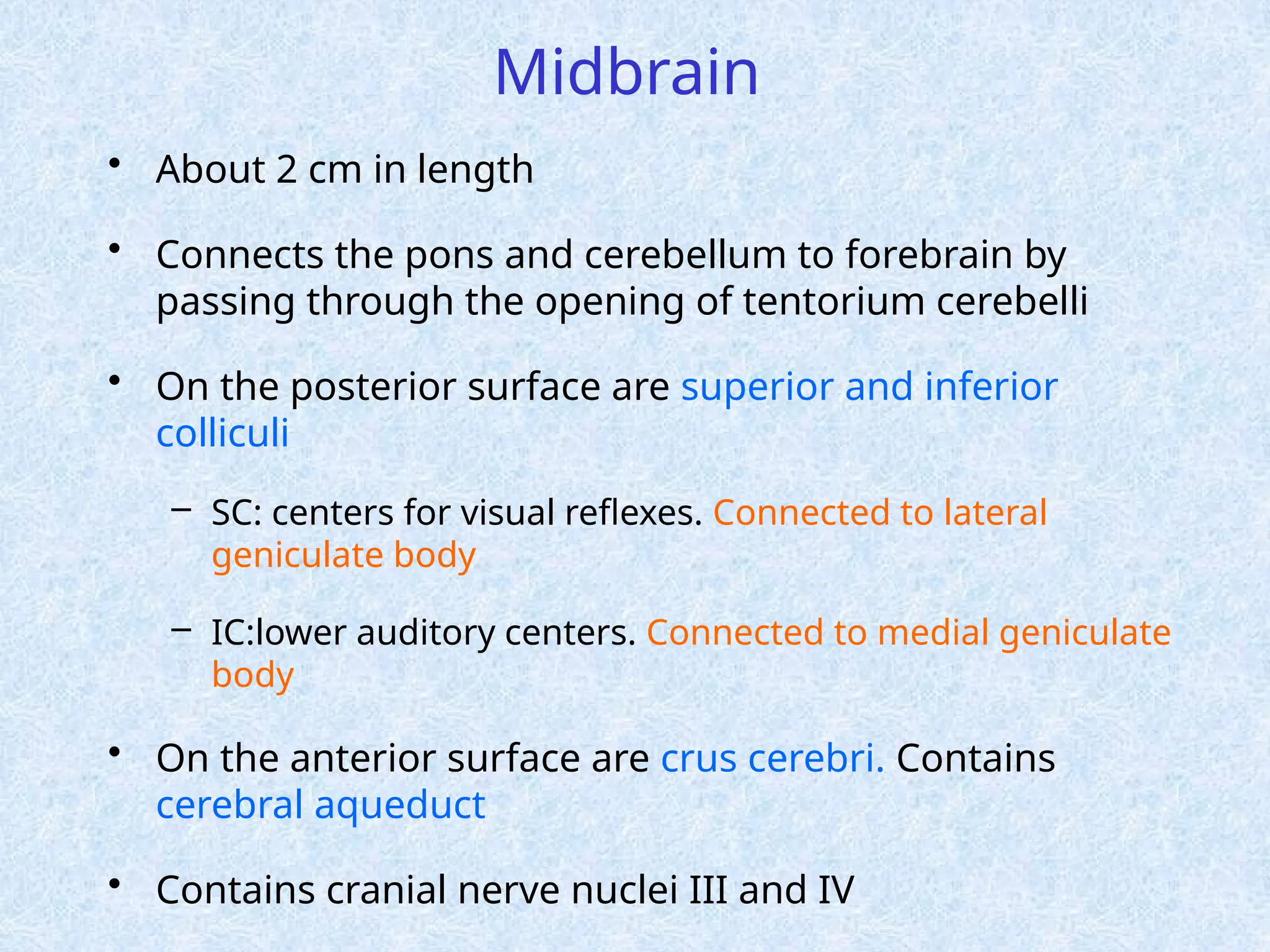Parts of the brain and function and general features | PPSX